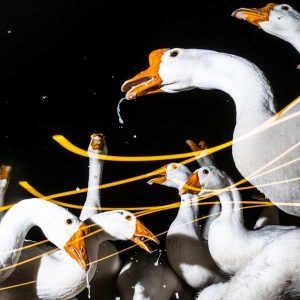 รวมคอร์ดเพลงจากศิลปิน TangBadVoice คอร์ดกีตาร์ | dochord.com