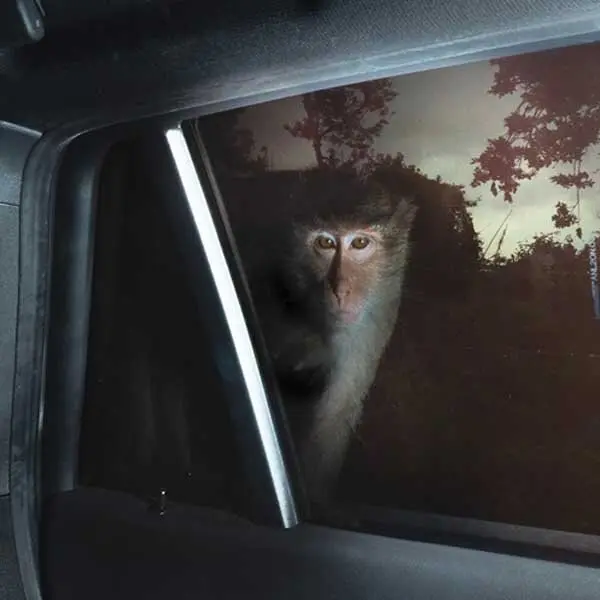 รวมคอร์ดเพลงจากศิลปิน TangBadVoice คอร์ดกีตาร์ | dochord.com